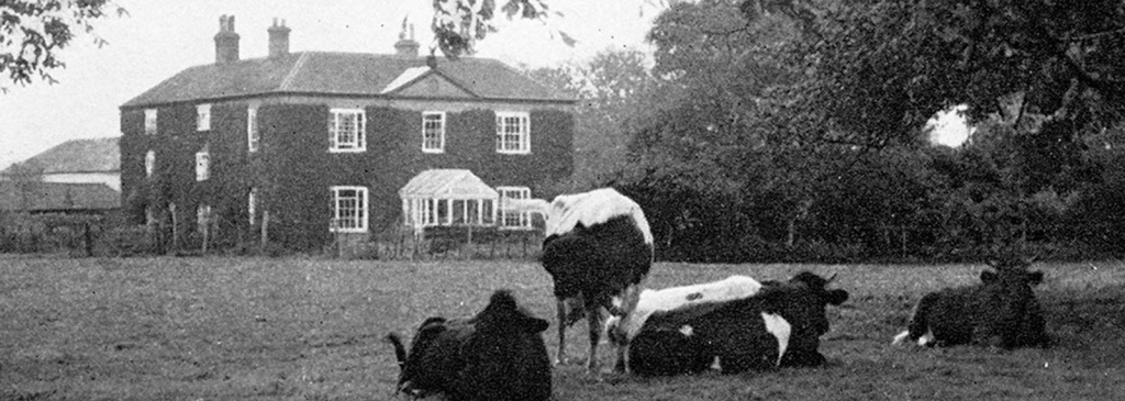 History of the Gardens » Bressingham Gardens