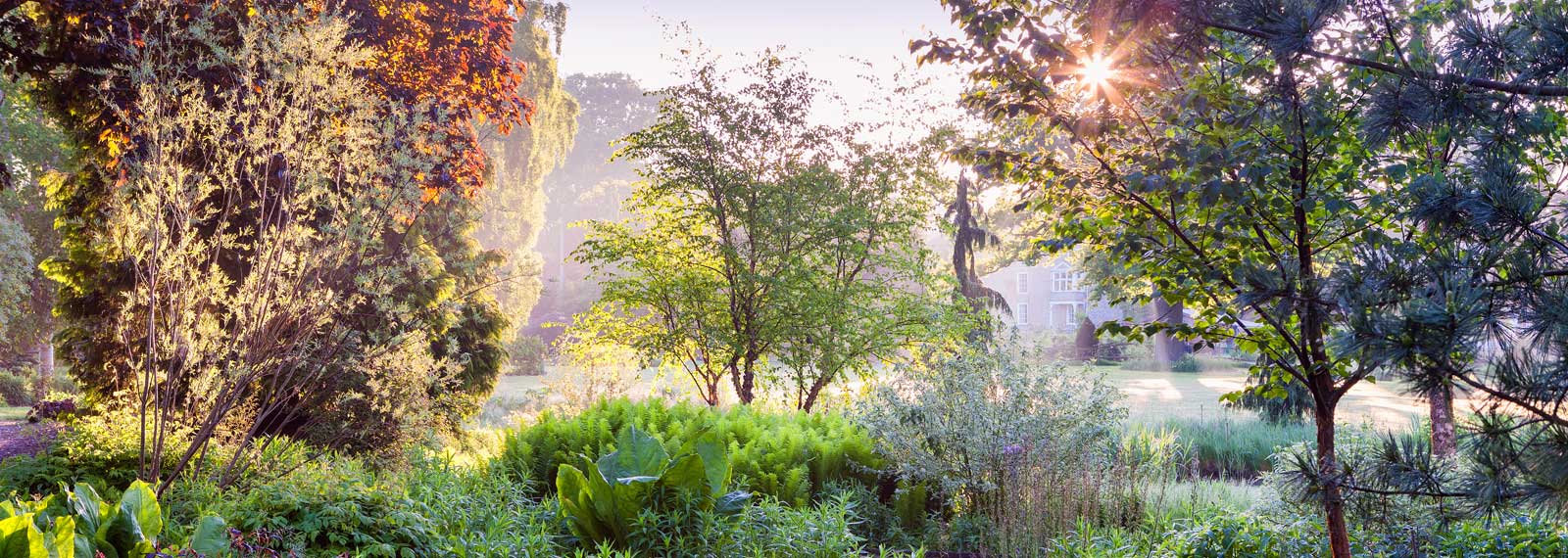 awardwinninghall » Bressingham Gardens