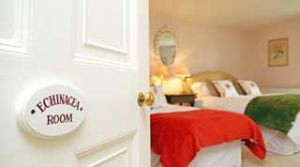 Bressingham Hall | Bressingham Gardens