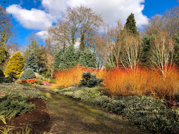 Plan Your Visit » Bressingham Gardens
